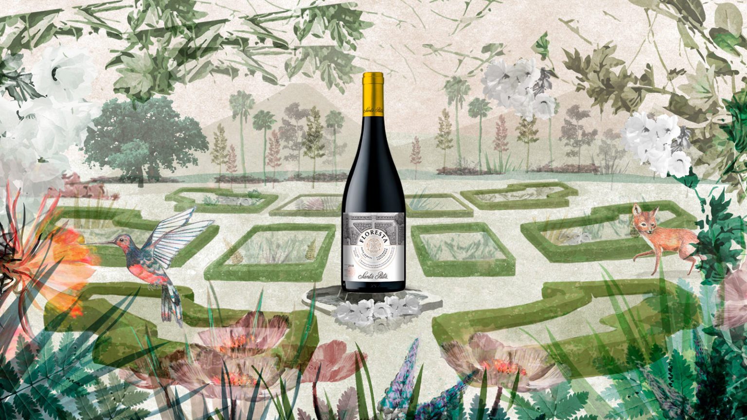 8 Best Chilean Wines