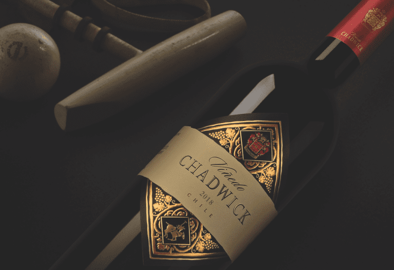 8 Best Chilean Wines